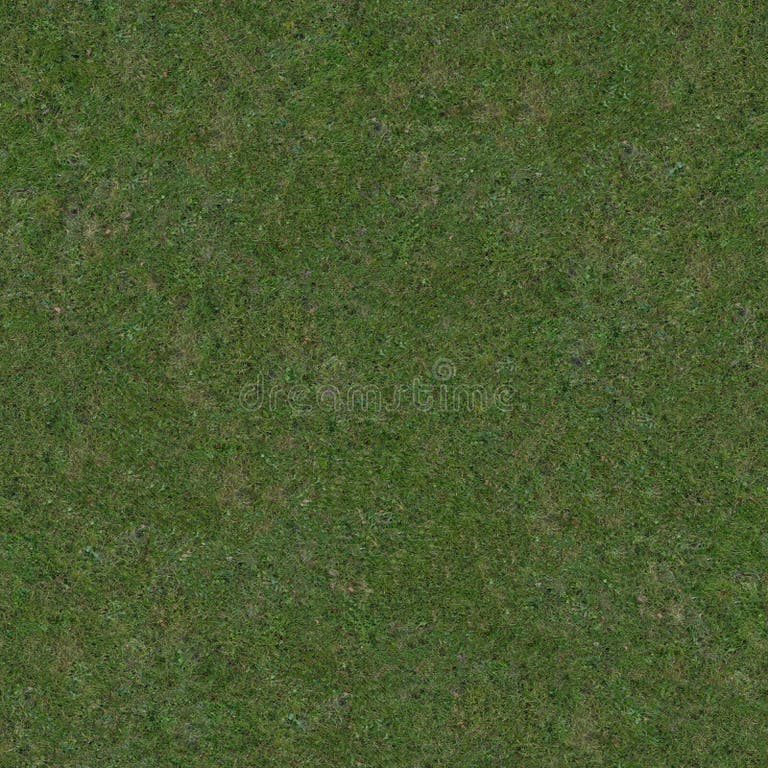 Seamless Grass Texture stock image. Image of nature, yard - 22713223