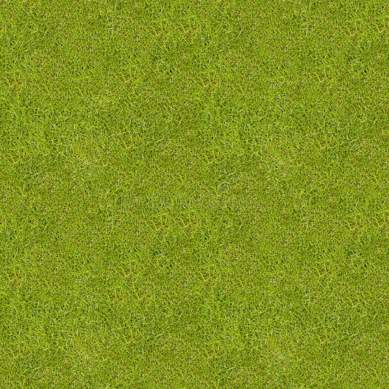 Seamless grass texture. stock photo. Image of mowed, grass - 51897080