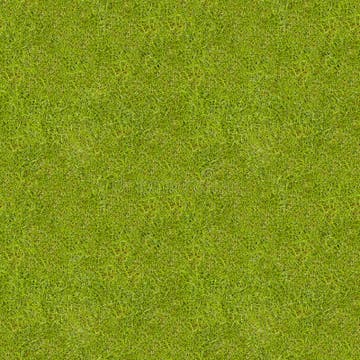 2,437 Mowed Grass Texture Stock Photos - Free & Royalty-Free Stock ...