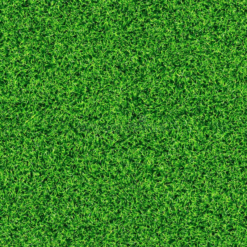 Seamless grass texture stock photo. Image of natural - 38820116