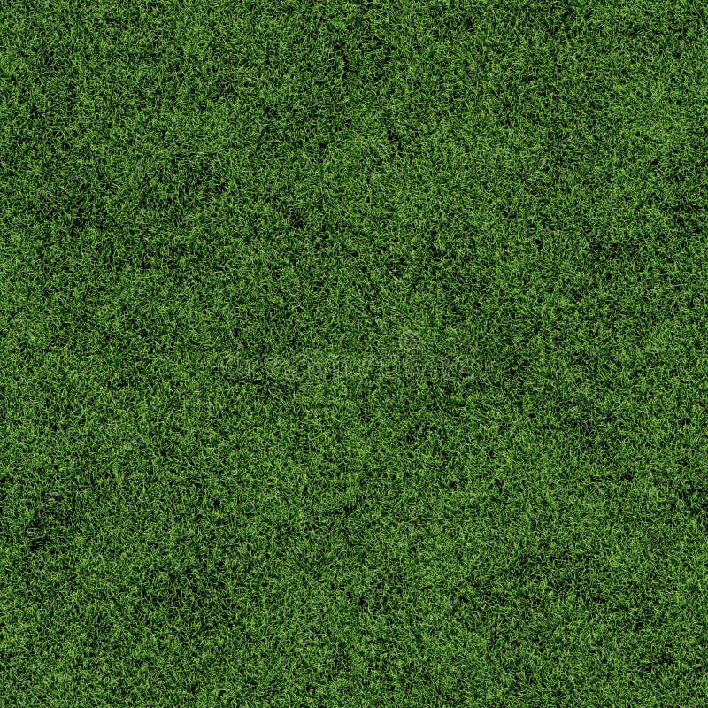 Seamless grass texture stock photo. Image of natural - 38820116