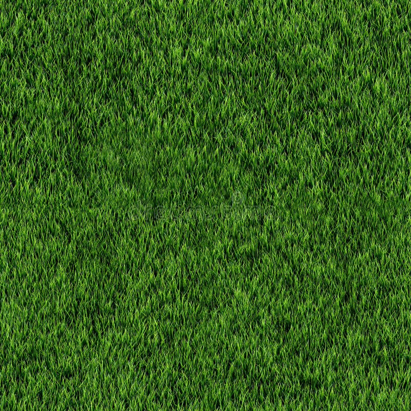 Seamless grass texture stock photo. Image of seamless - 38820132