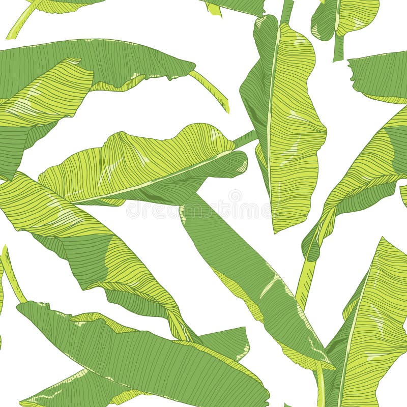 Seamless Green Banana Leaves Pattern for Textile, Tropical Plant Stock ...