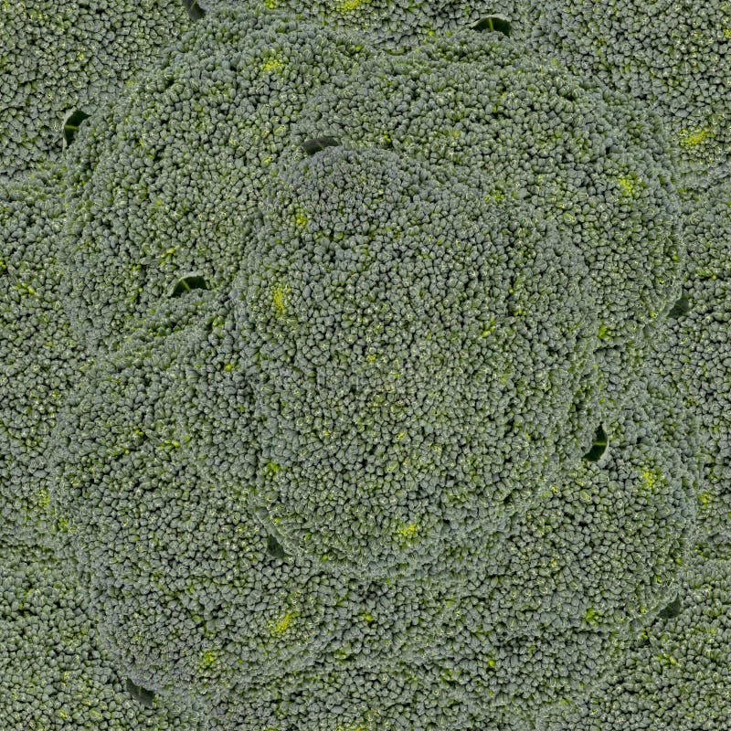Broccoli texture stock image. Image of grocery, texture - 11964833