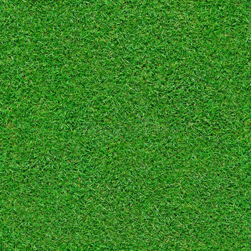 Golf Grass Texture