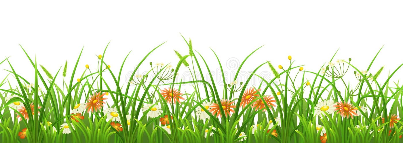 Grass Flowers Stock Illustrations 255268 Grass Flowers Stock Illustrations Vectors And Clipart