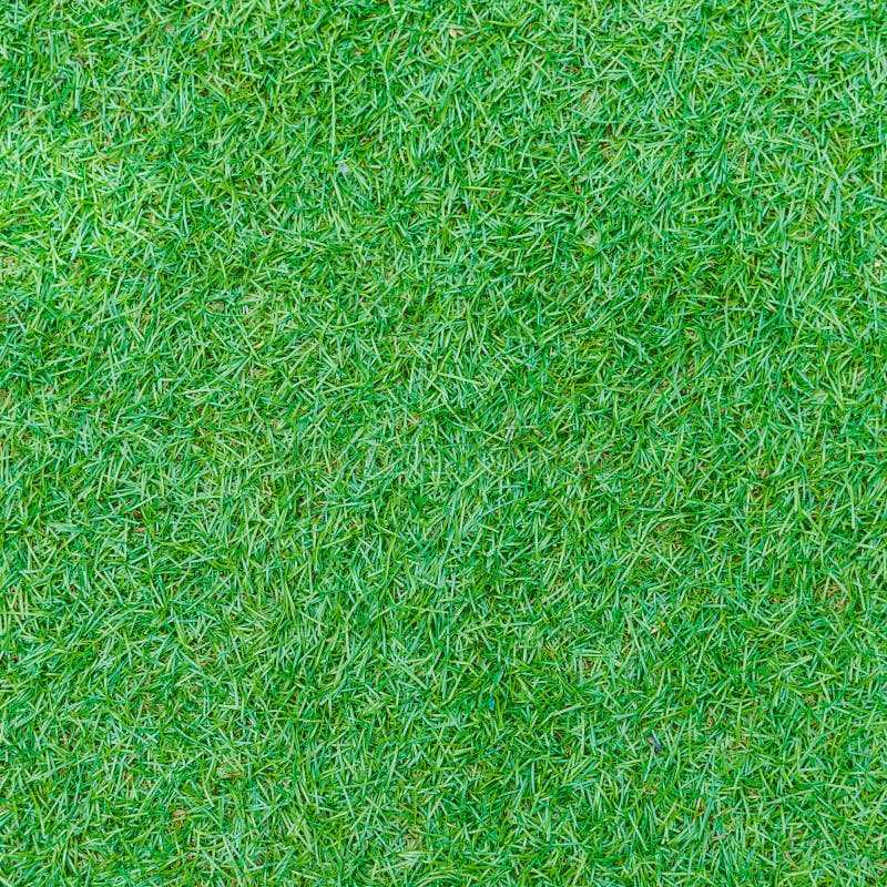 Seamless Green Grass Texture from Golf Course Stock Image - Image of ...
