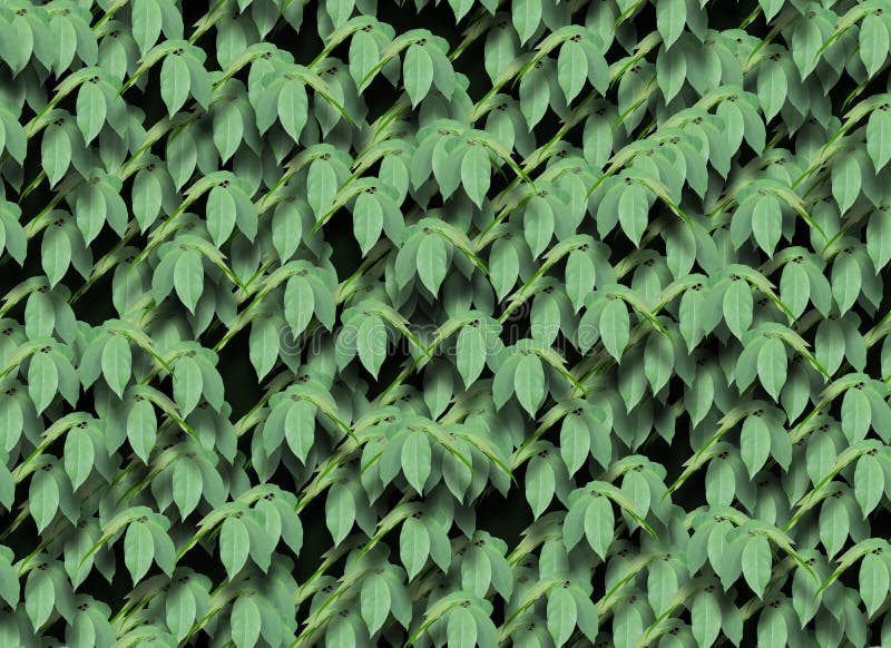 Seamless Green Leaves Pattern Stock Image - Image of leaves, seamless ...