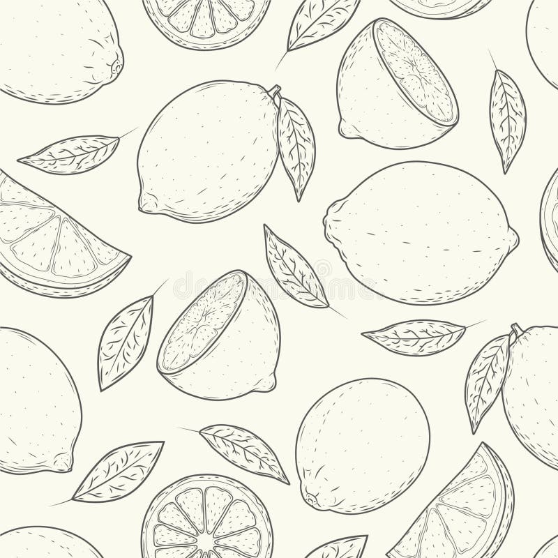 Seamless Hand-Drawn Lemon Pattern – Vintage Citrus Fruit Line Art for ...