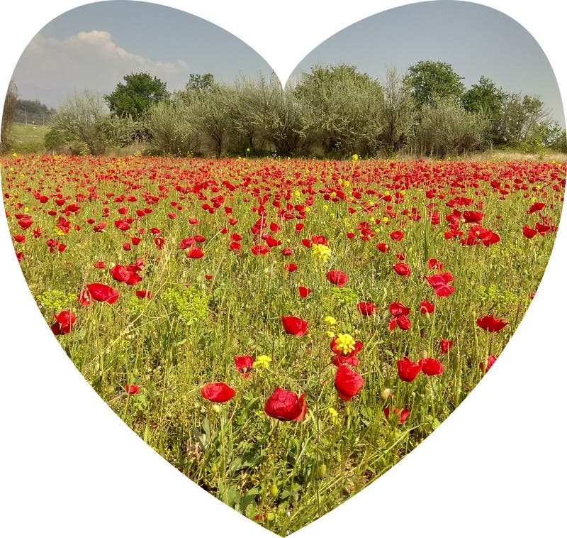 Seamless Heart Shaped Landscape Stock Photo - Image of texture, heart ...