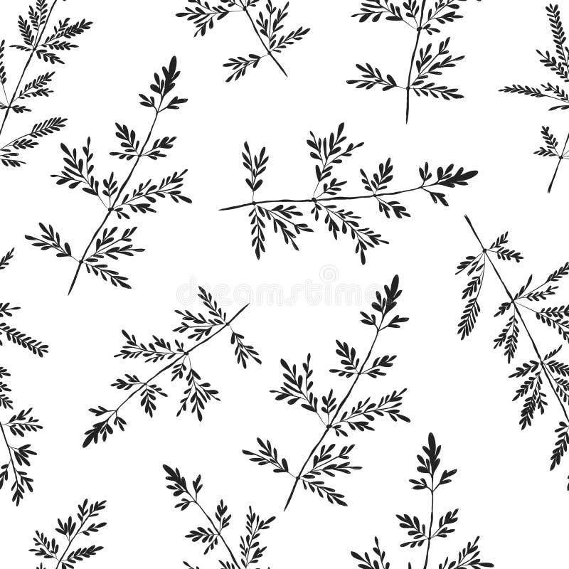 Seamless Herb Pattern. Abstract Black Branches Stock Vector ...