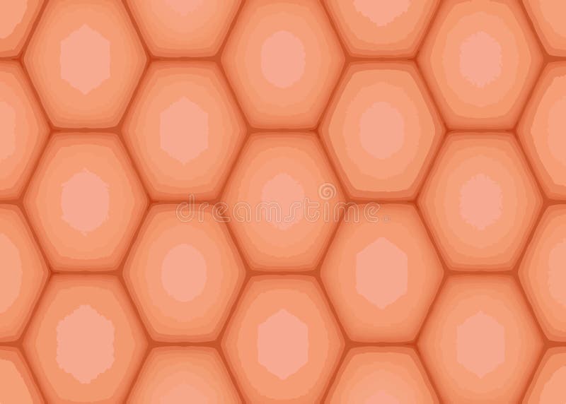 Seamless Hexagon Pattern with Element Stock Vector - Illustration of ...