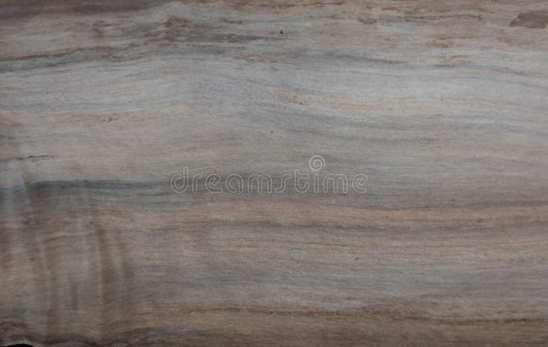 Seamless Hickory Panel stock photo. Image of woodgrain - 232687116