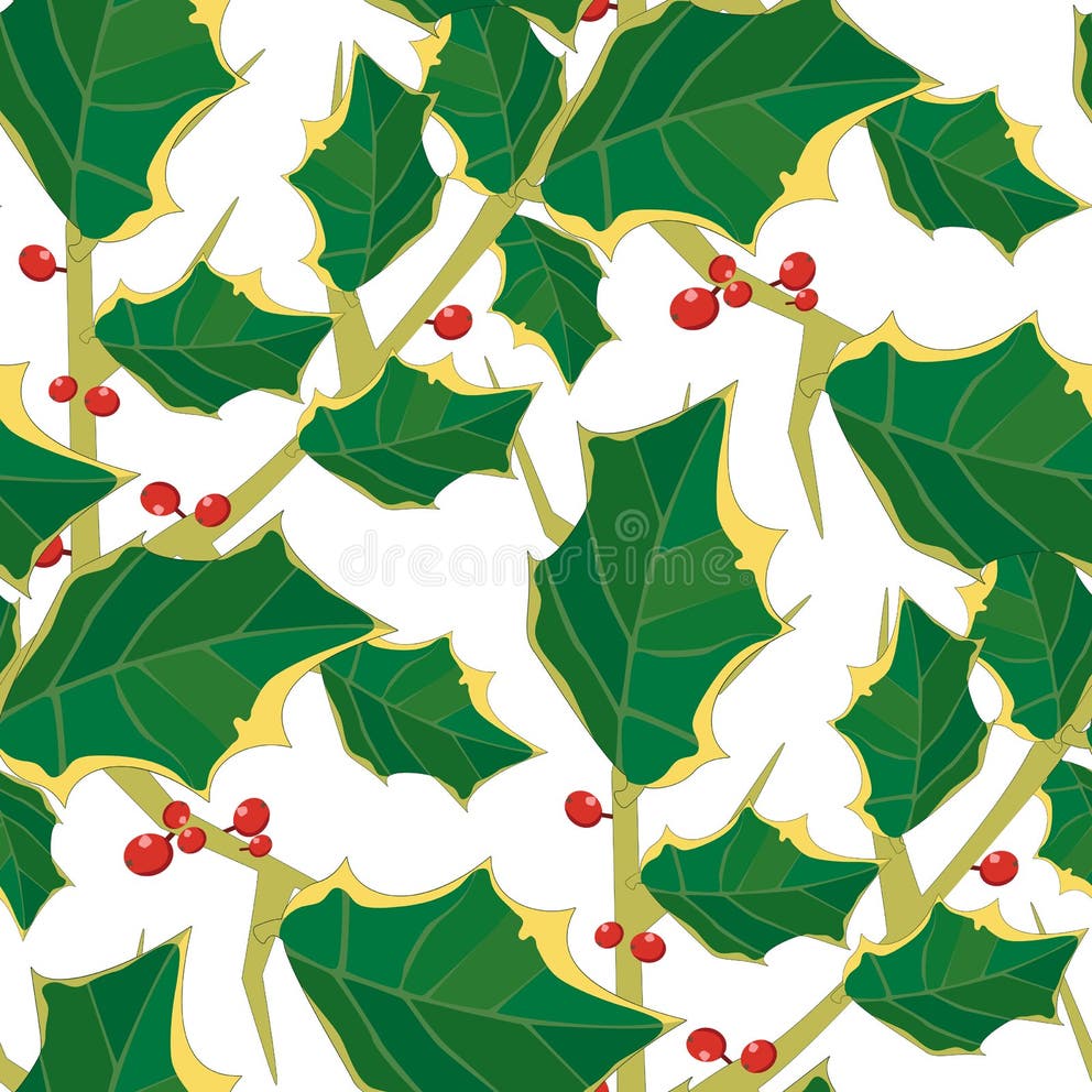 Holly Pattern Stock Illustrations – 73,647 Holly Pattern Stock ...