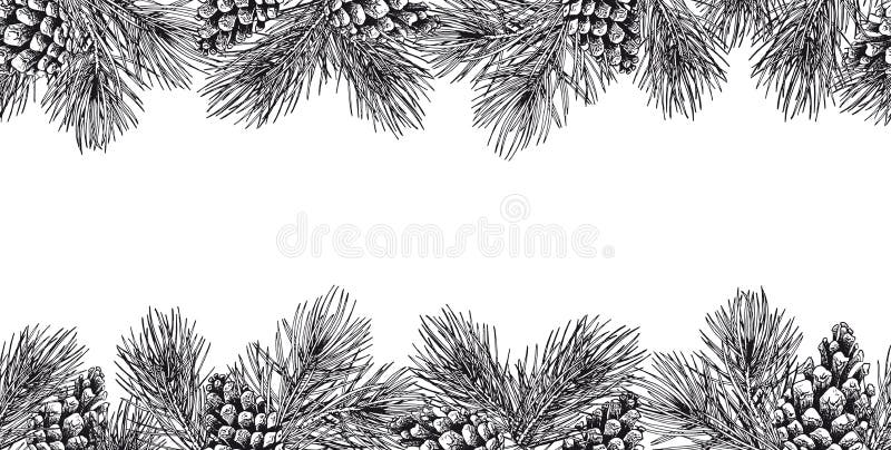 Seamless Horizontal Border with Pine Branches. Stock Vector ...