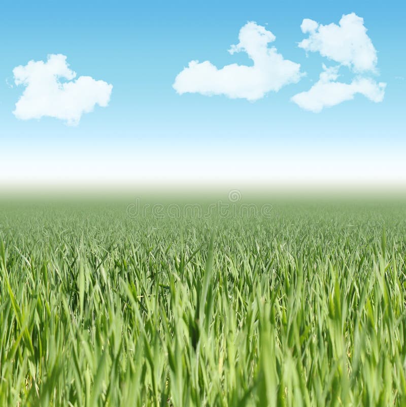 Seamless Horizontal Tile of Green Grass and Sky Landscape Stock Image ...