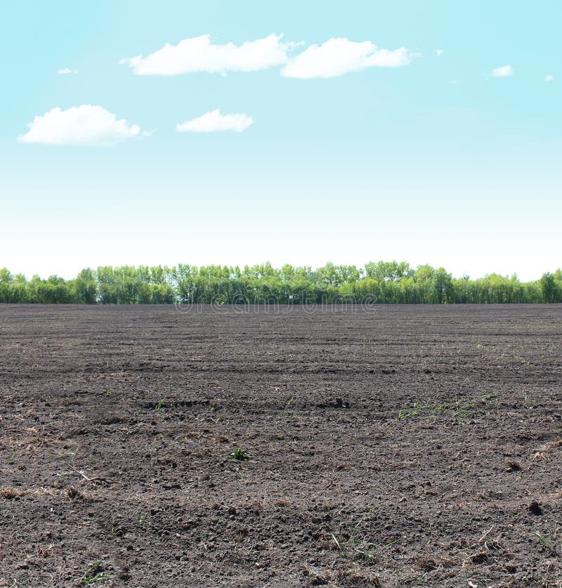 Seamless Horizontal Tile of Ground and Sky Landscape Stock Image ...