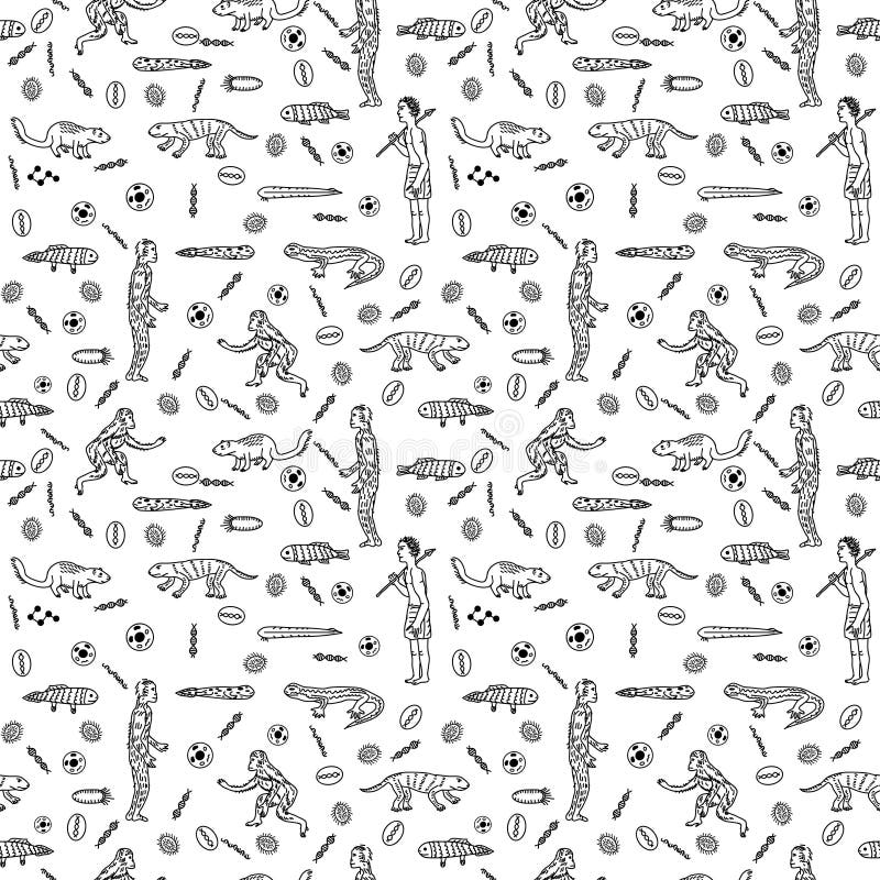 Seamless evolution pattern stock vector. Illustration of fabric - 104569459