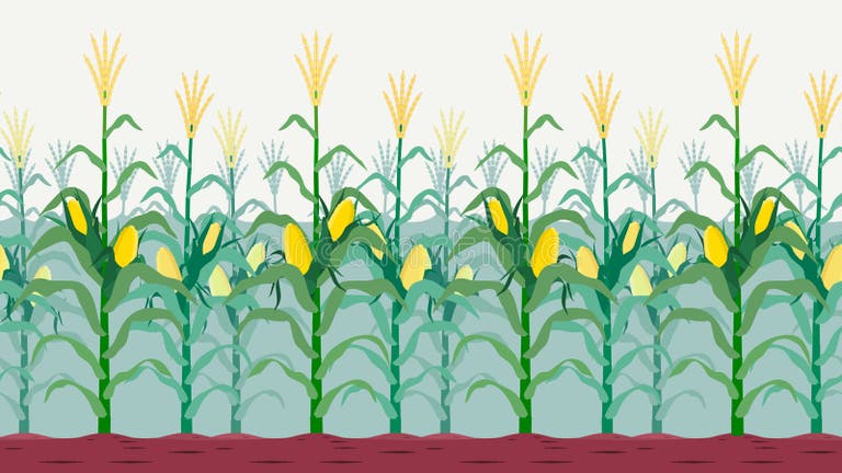 Cornfield Cartoon Stock Illustrations – 1,006 Cornfield Cartoon Stock ...