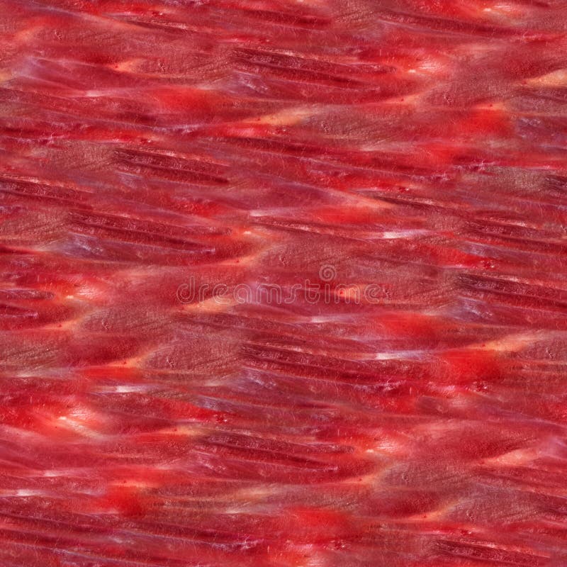 Seamless 4k Photo Texture of Beef Meat Texture Stock Photo - Image of ...