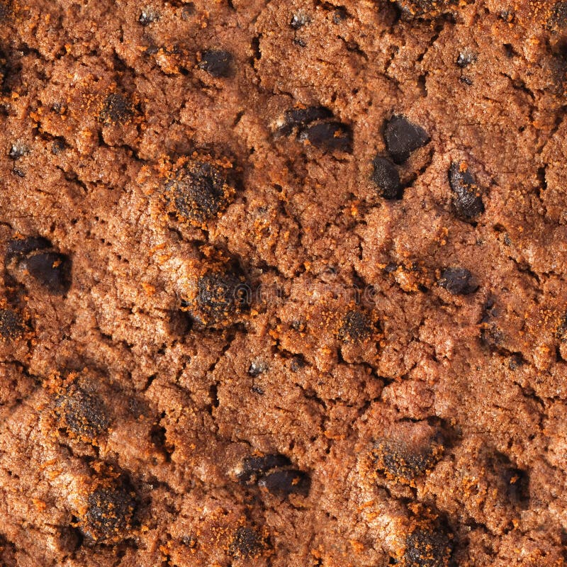 Seamless 4k Photo Texture of Chocolate Cookie with Chocolate Crisp ...