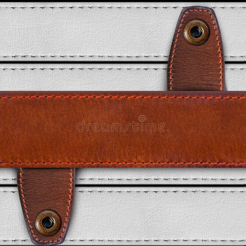 Seamless 4k Photo Texture of White Leather Straps with Brass Rivets and ...