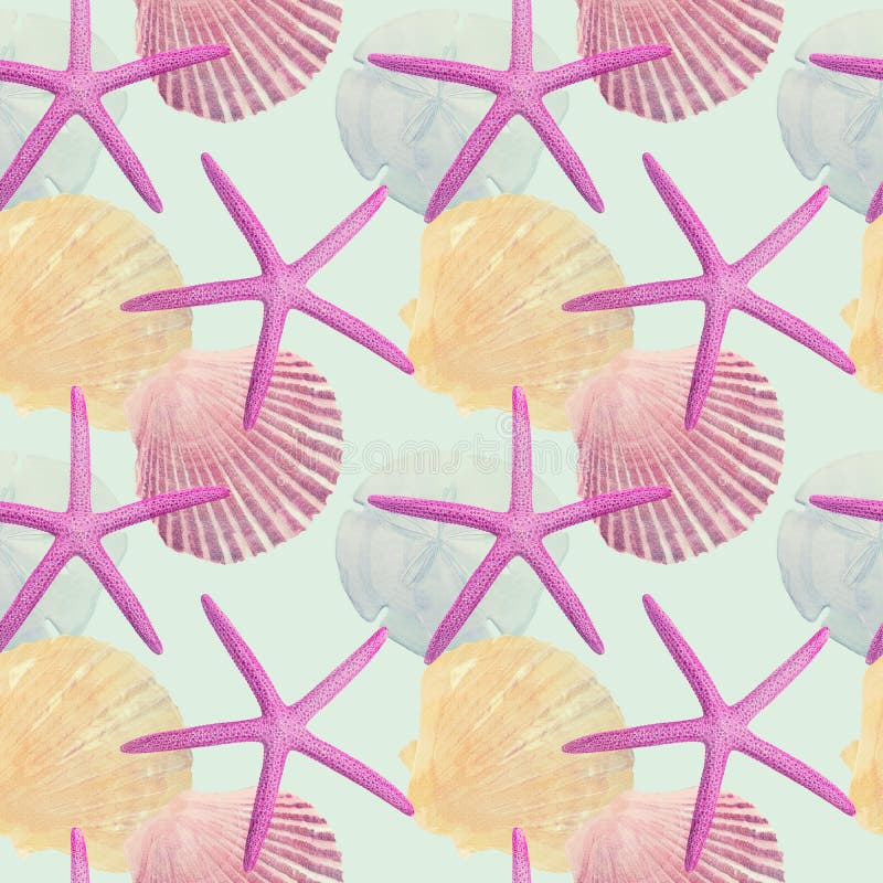 Seamless Background Shells Stars Stock Photos - Free & Royalty-Free ...