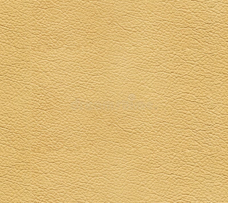 Seamless leather texture stock photo. Image of segment - 19209542