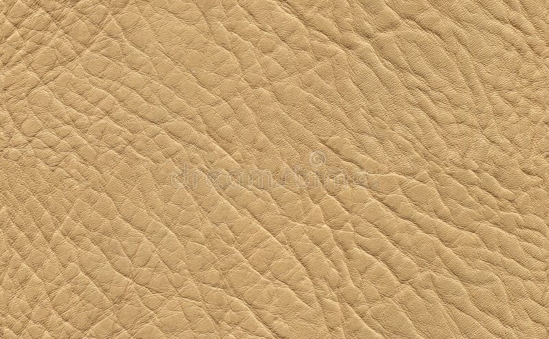 Seamless leather texture stock photo. Image of segment - 19209542