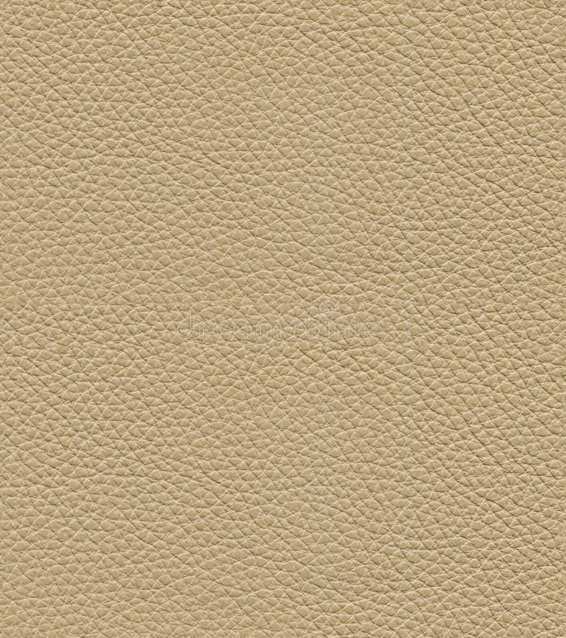 Seamless leather texture stock photo. Image of segment - 19209542