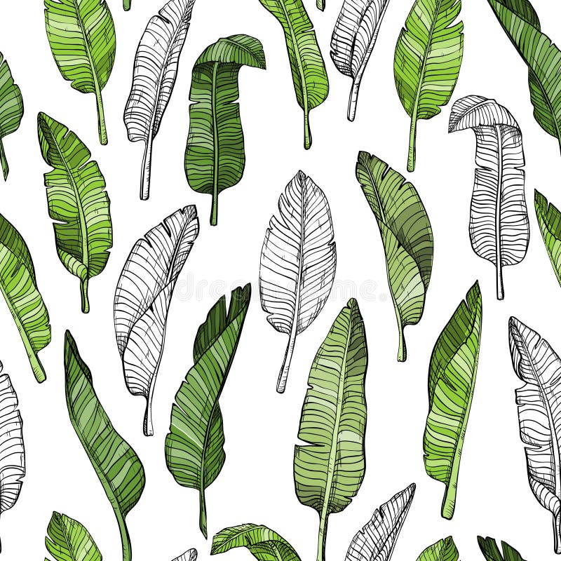 Seamless Leaves Pattern with Tropical Leaves Stock Vector ...