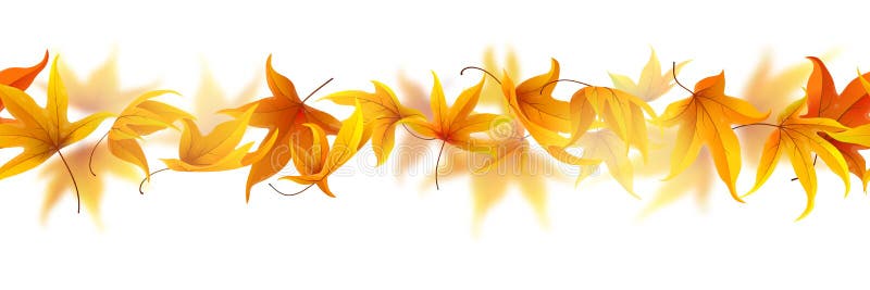 Line of autumn leaves stock image. Image of fallen, copy - 32181301