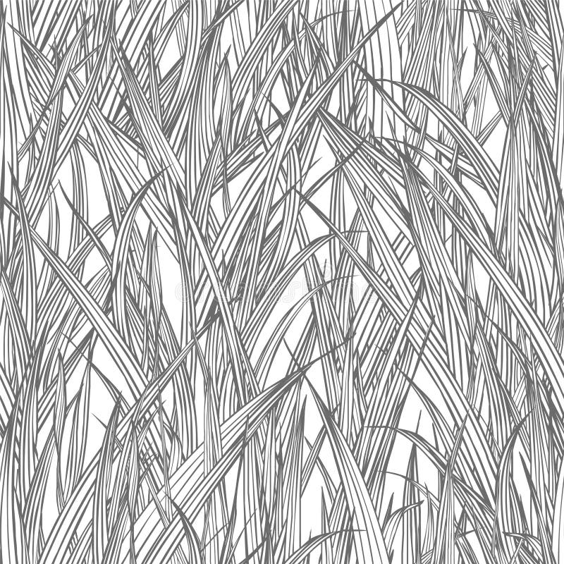 Seamless Linear Pattern - Grass Stock Vector - Illustration of ...