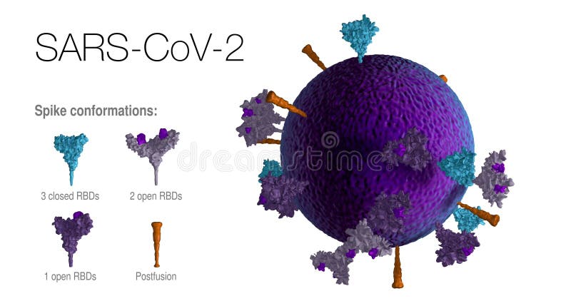 Seamless Loop of 3D Model of an Authentic SARS-CoV-2 Virus Particle ...
