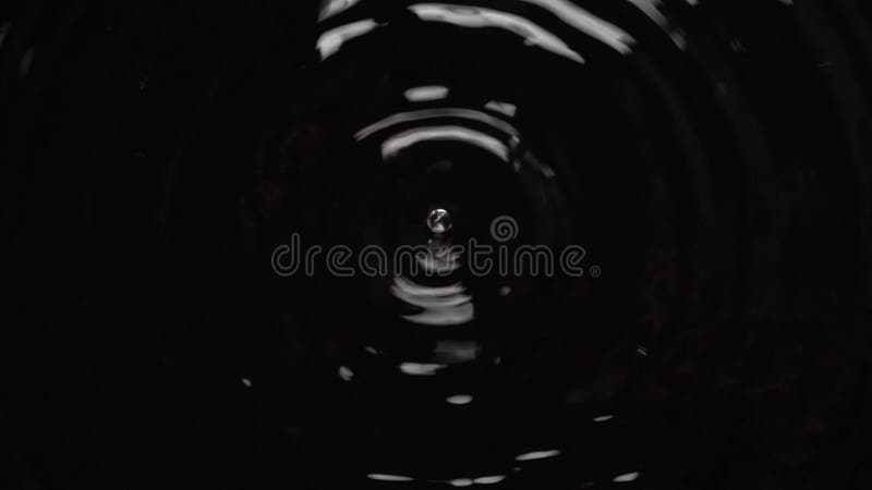 Seamless Loop of Water Wave when Droplet Dropping on a Surface of a ...