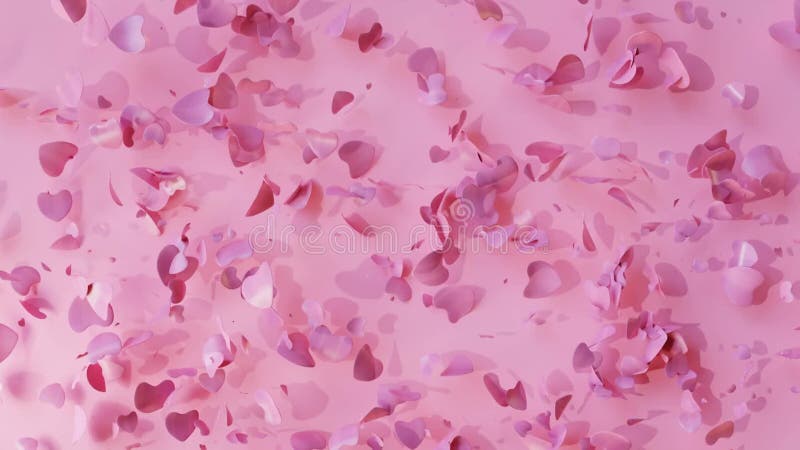 Seamless Looping Animation of Flower Petals Flying on Pink Background ...