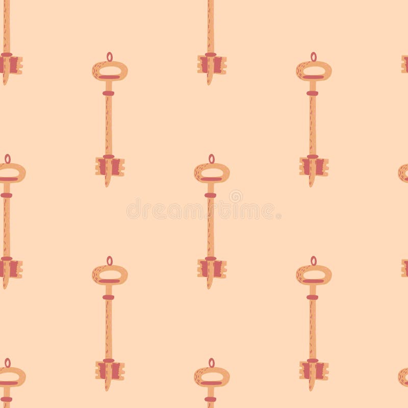 Seamless Minimalistic Privacy Pattern with Old Security Keys Door ...