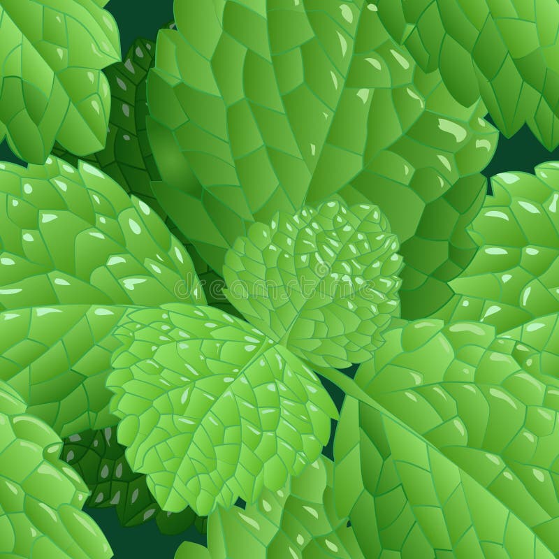 Seamless mint pattern stock vector. Illustration of paint - 40047402