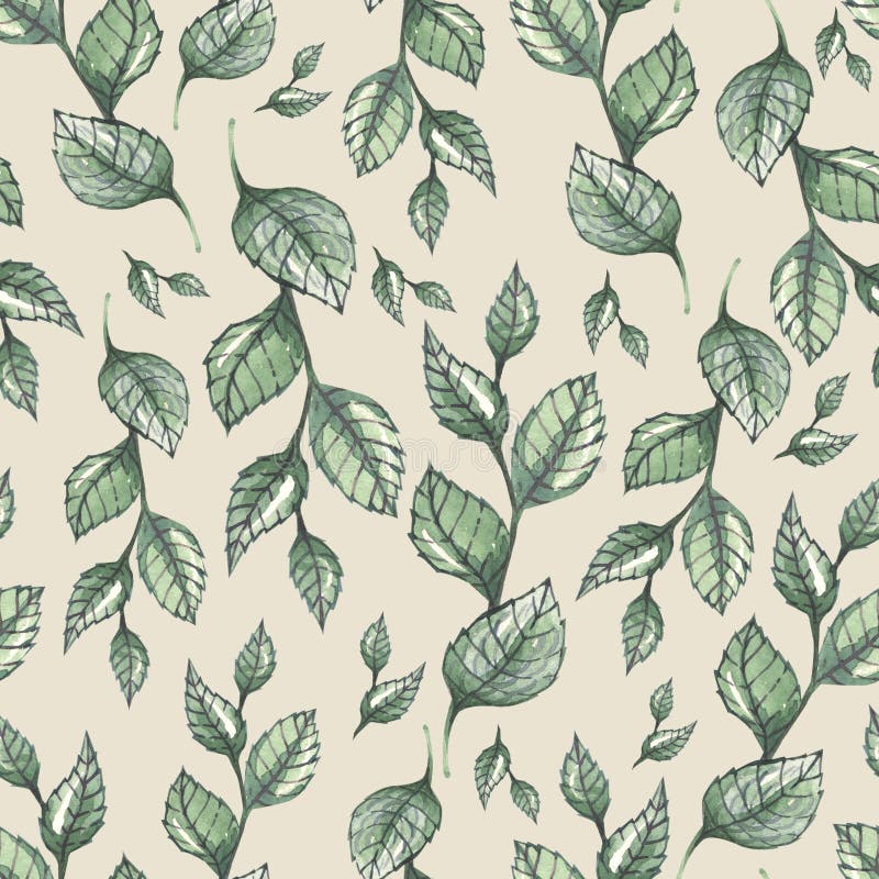 Seamless Mint Pattern. Mint Branches on a Background. Stock ...