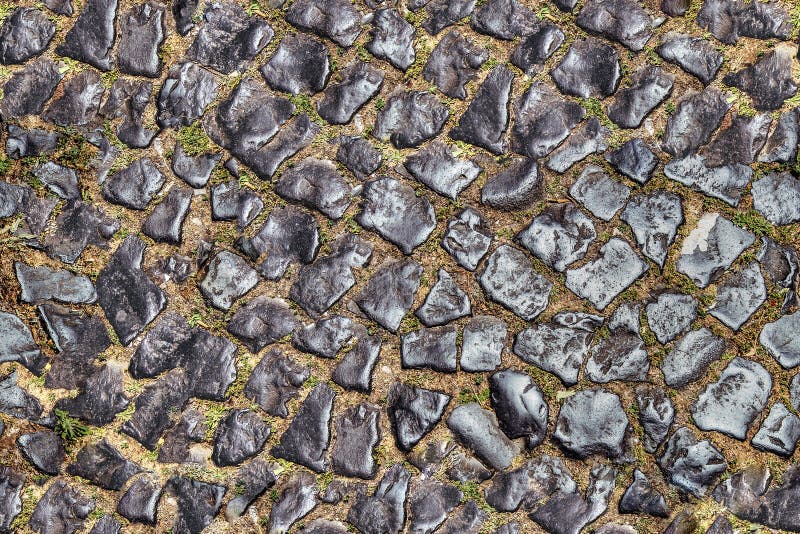 Square Paving with Grass, HD Seamless Texture Stock Photo - Image of ...