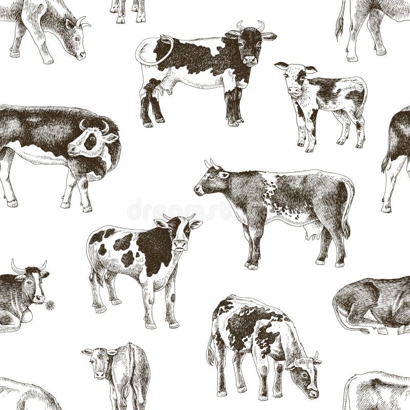 Seamless Monochrome Pattern with Different Cows Stock Vector ...