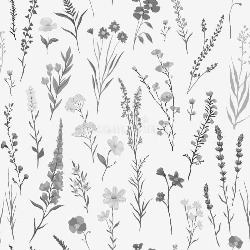 Seamless Monochrome Pattern with Wildflowers and Plants Stock Vector - Illustration of outdoor ...