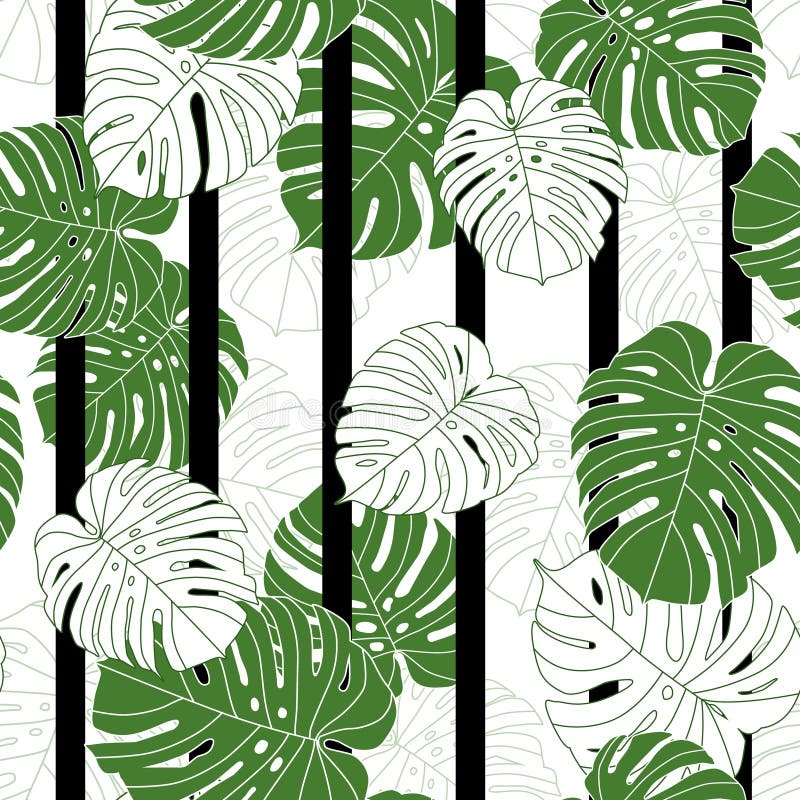 Seamless Monstera Leaf Pattern Stock Vector - Illustration of vector ...