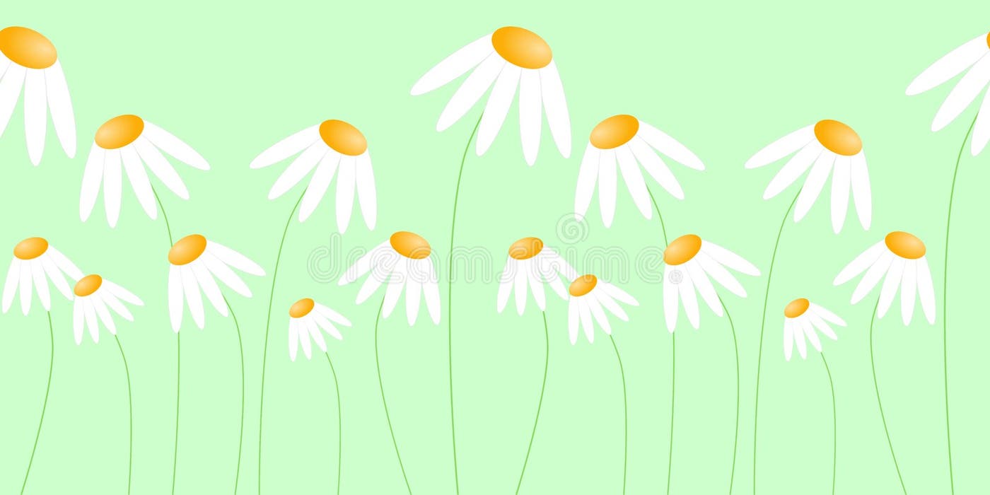 Daisy Seamless Divider Stock Illustrations – 39 Daisy Seamless Divider ...