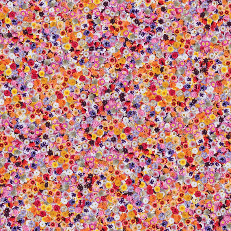 Seamless Multi-colored Flower Print Collage with Delicate Blooms Stock ...
