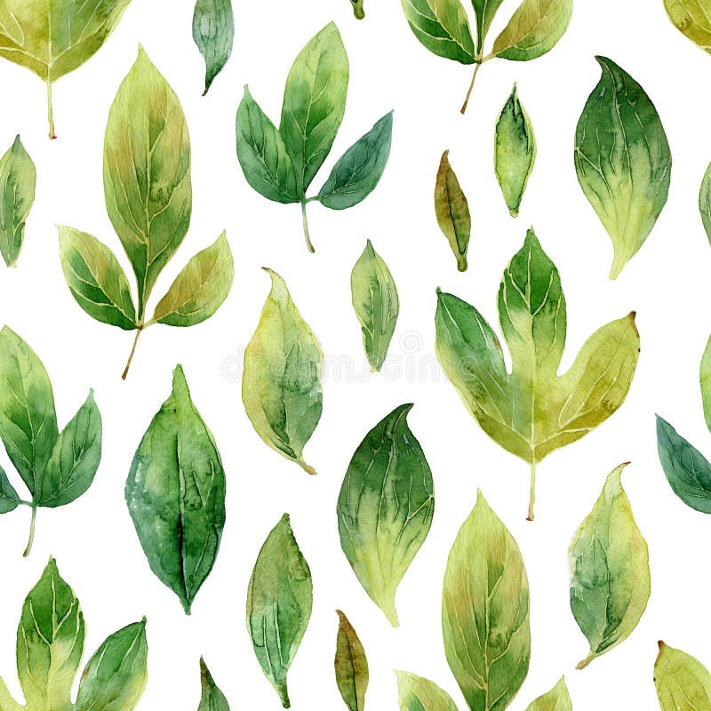 Seamless natural pattern stock illustration. Illustration of painting ...