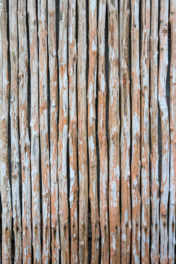 Seamless Natural Texture of Vertical Bamboo Wall Stock Photo - Image of ...