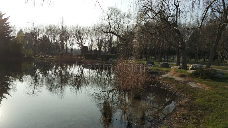 Seamless Nature, Beautiful Environment, Background Stock Photo - Image ...