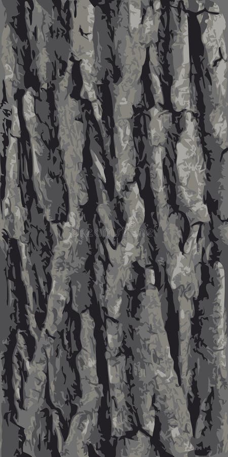 Seamless oak bark stock vector. Illustration of lines - 44062760