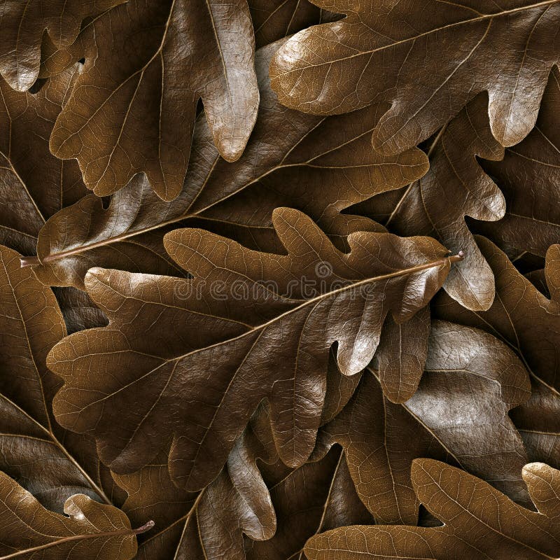 Seamless Oak Fall Leafs Background. Stock Image - Image of leafs ...
